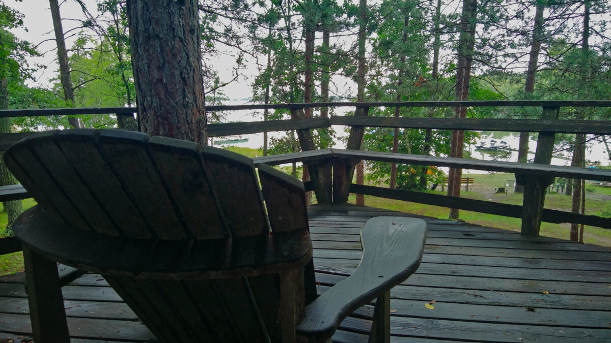 Woodtick Promo | League of Minnesota Poets